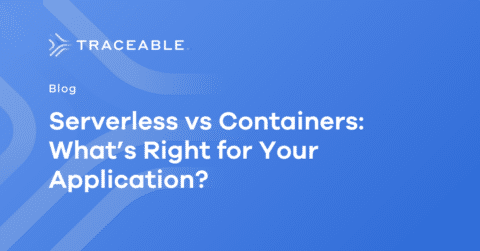 Serverless vs Containers: Which One to Choose? | Traceable App & API ...