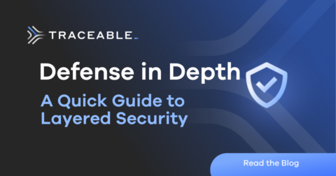 Defense in Depth: A Guide to Layered Security - Traceable API Security