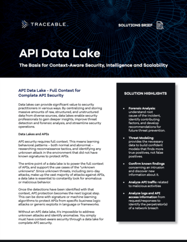 API Data Lake for Context-Aware API Security - Traceable