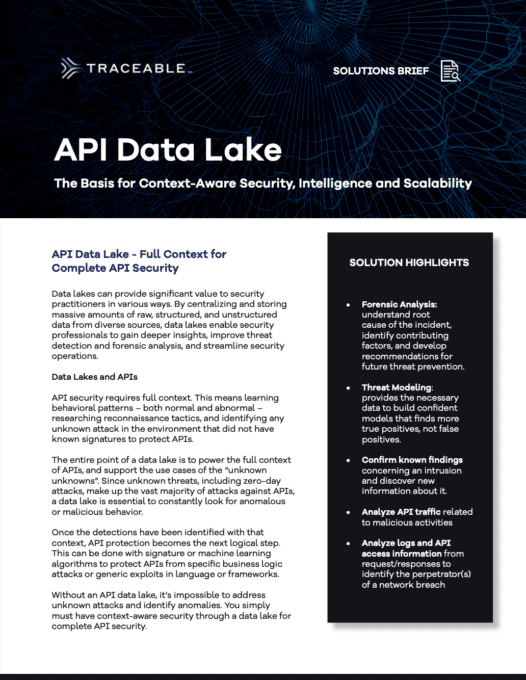 Api Data Lake For Context Aware Api Security Traceable